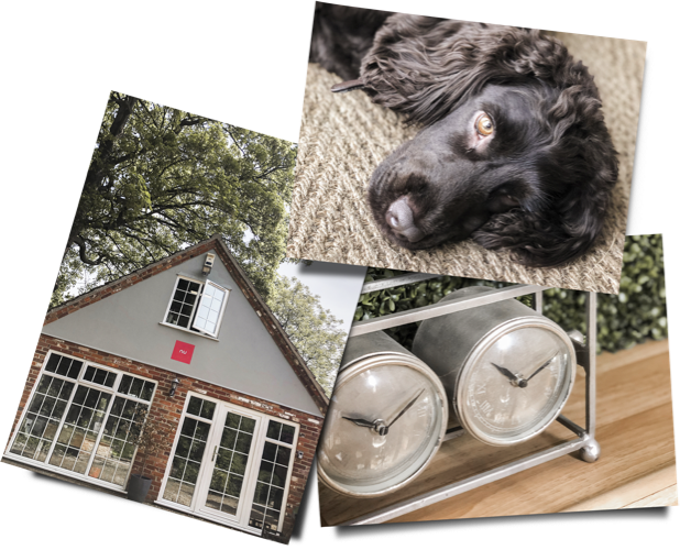 With over 10 years of success, let us transform your business | Nu Image