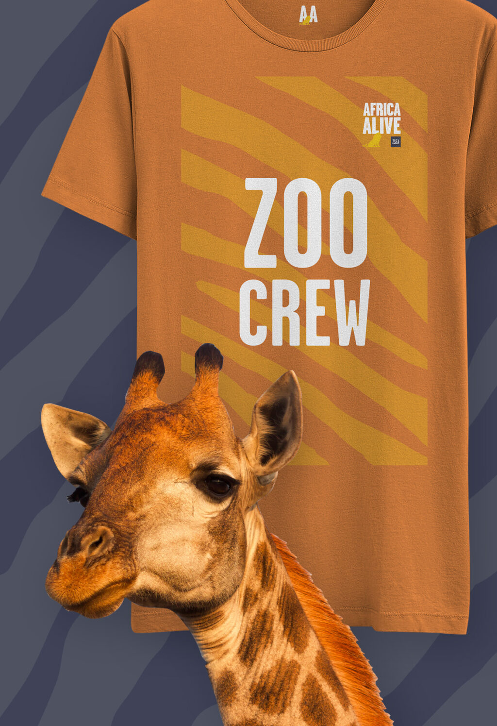 Our Design Portfolio - Nu Image