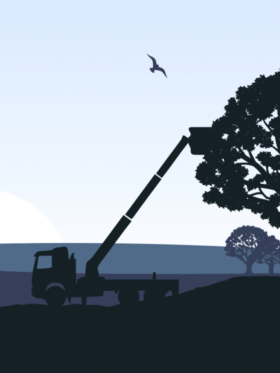 Dr Stump's Website - Nu Image